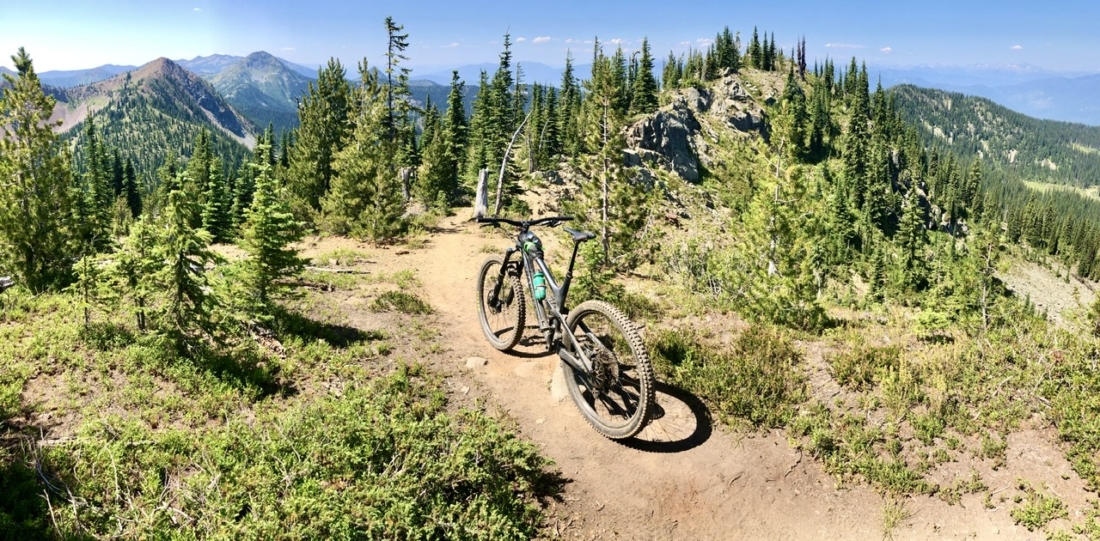 Nelson Mountain Biking - Arctos Guides