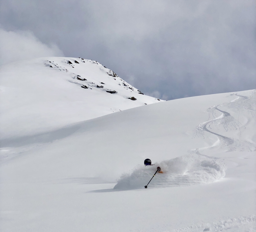 Magazine - Arctos Guides